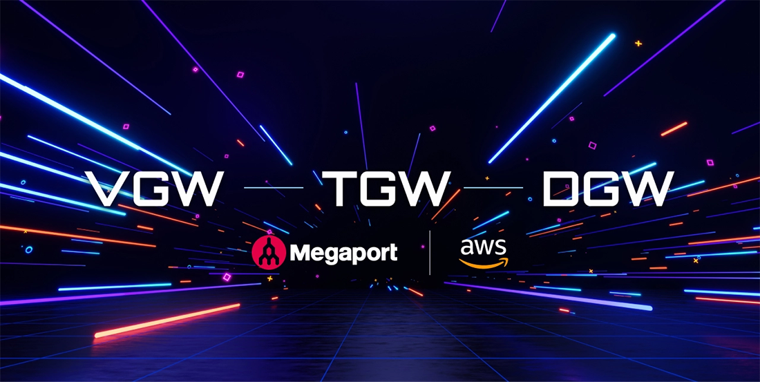 Comparing AWS network gateways: Virtual Private Gateway vs Direct ...